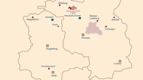 WM Devdas ox | Neustädter Gestüte